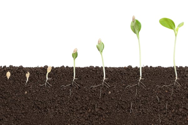 Bryn's Diary - Assured Soccer Profits