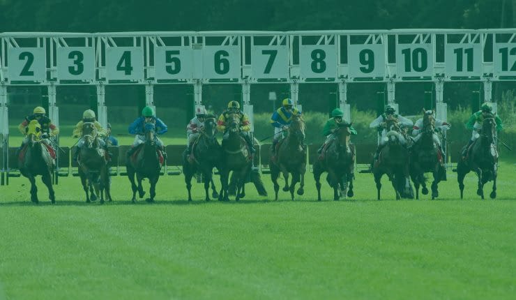 ITV Racing Tips Review: Value Bets for Big TV Race Meetings