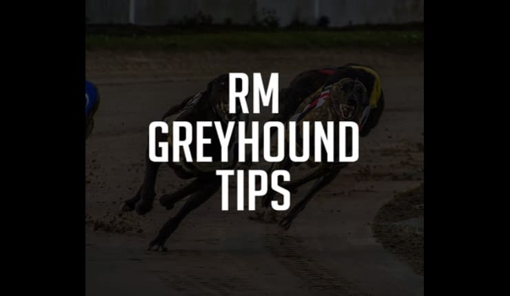 RM Greyhound Tips Review: Professional Greyhound Tipster