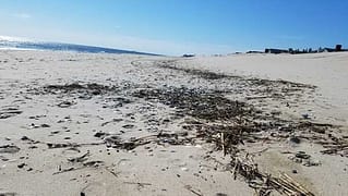 Bay Head Beach: Don't Miss This Amazing Sea Glass Paradise
