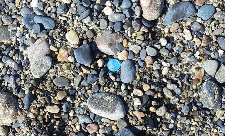 California Sea Glass: The Best Spots for Beach Treasure!
