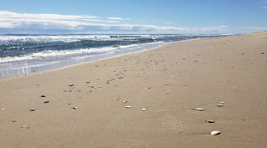 North Carolina Sea Glass: Beachcombing in the Outer Banks