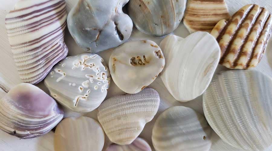 North Carolina Sea Glass: Beachcombing in the Outer Banks