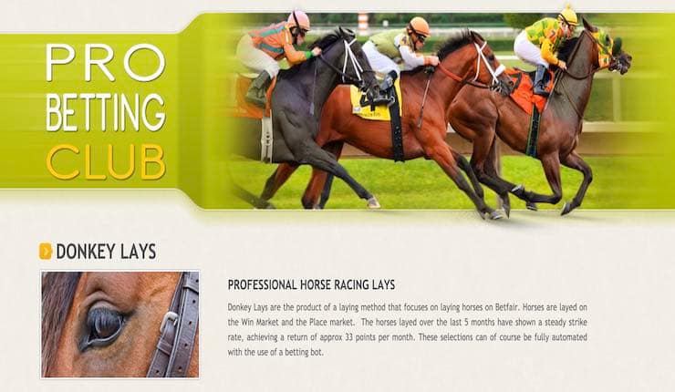 Donkey Lays Review: Horse Racing Laying Tips Service