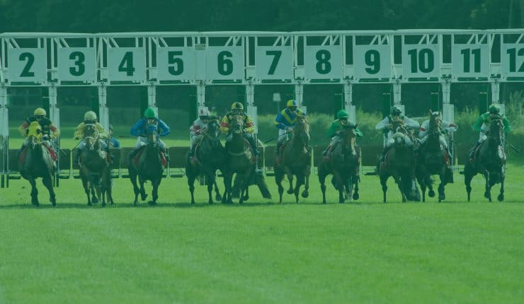 ITV Racing Tips Review: Value Bets for Big TV Race Meetings