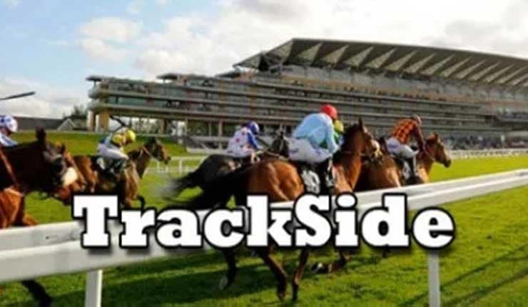 Trackside Review: Profitable Horse Racing Betting Tipster